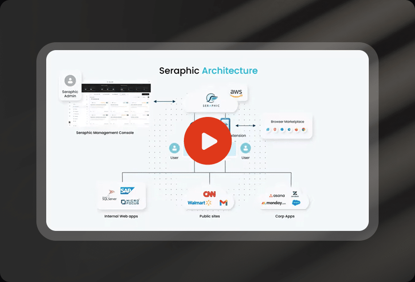 Seraphic Security Videos Page 2