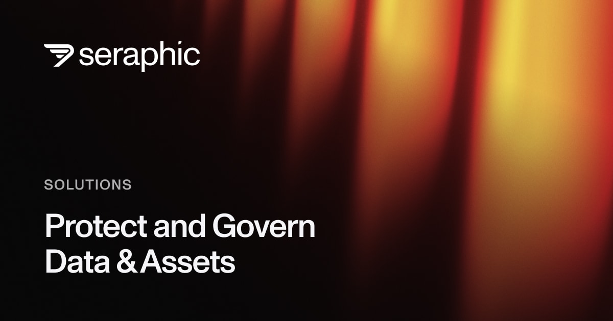 Protect & Govern Data Assets - Seraphic Security